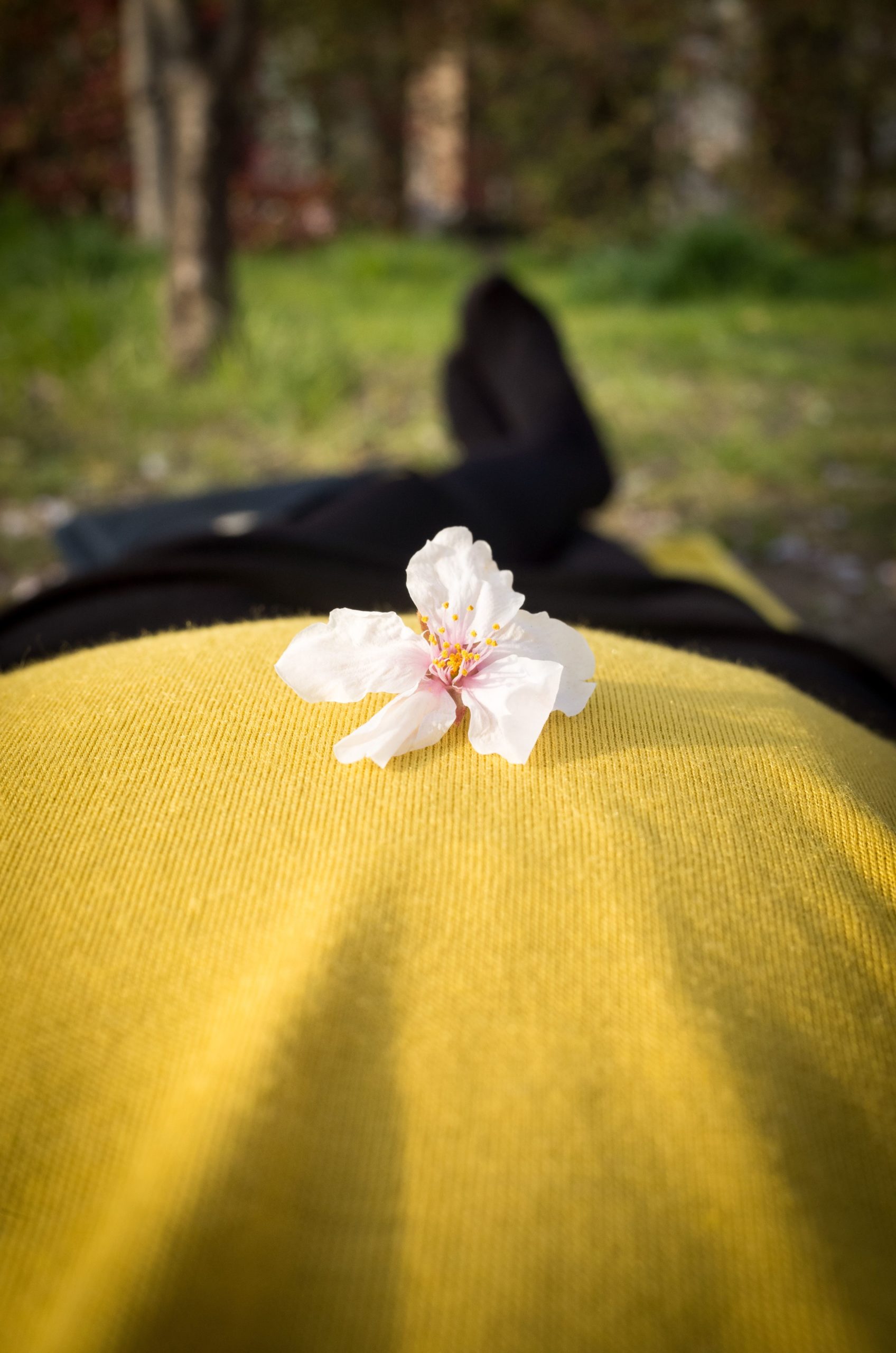 Pregnancy in Japan: Second Trimester