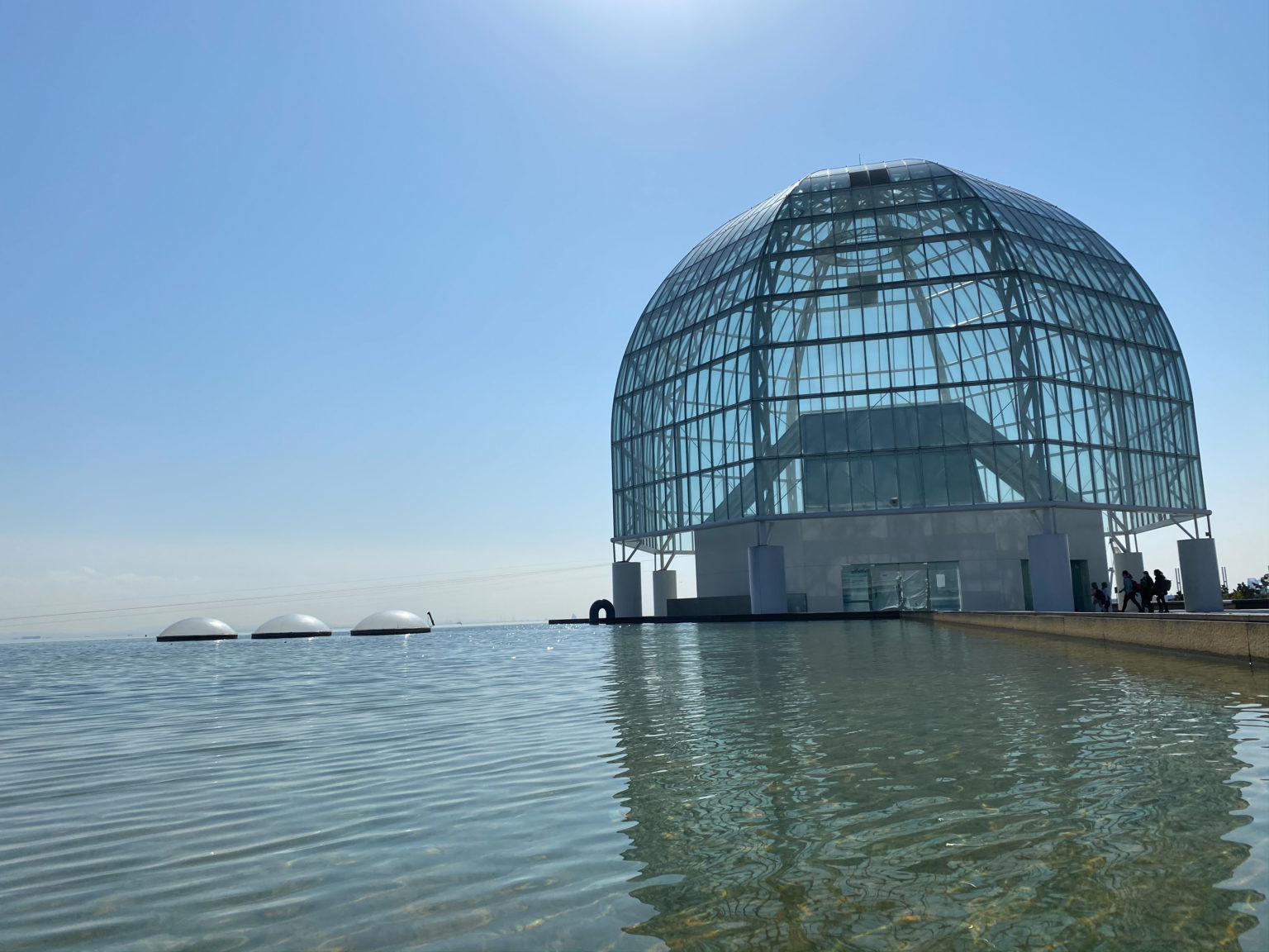 Places to Take Baby in Japan: Tokyo Sea Life Park