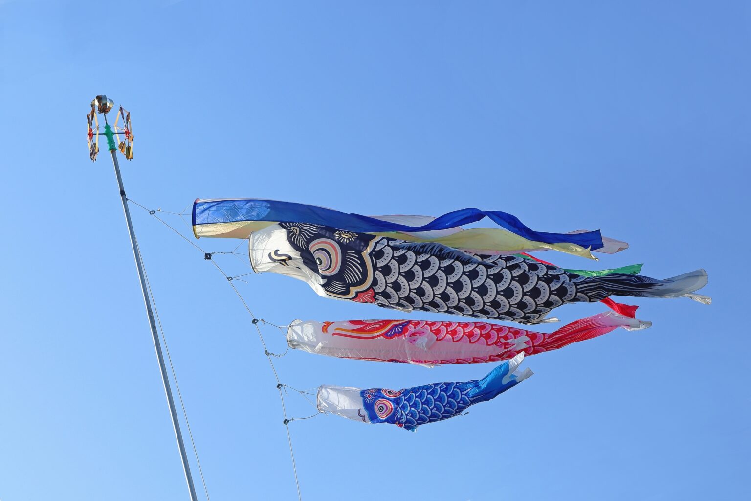 Kodomo No Hi (Children's Day): Celebrating Children in Japan - Tiny Tot ...