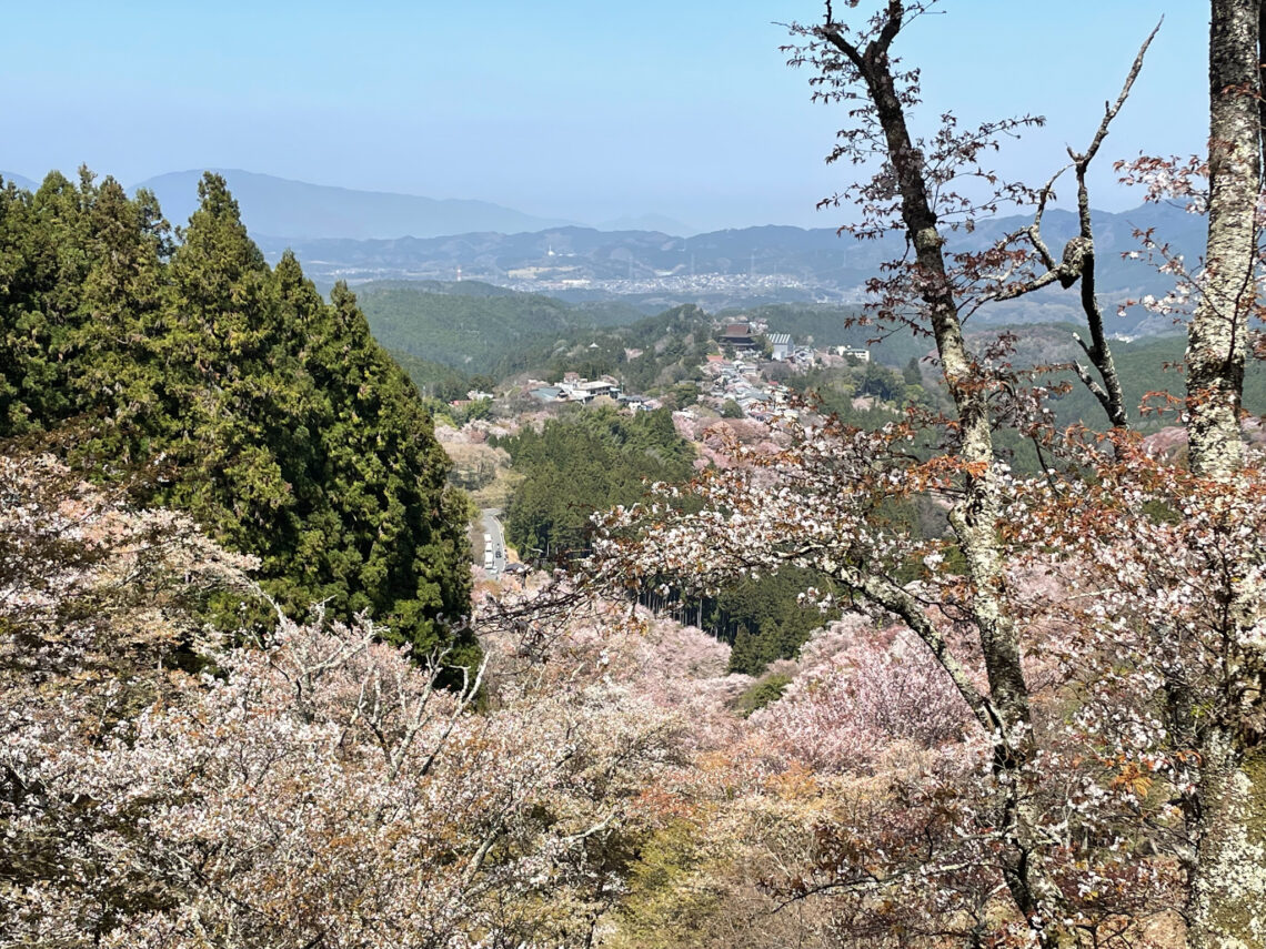 Hiking Nara's Mount Yoshino for the Best Cherry Blossoms in Japan ...