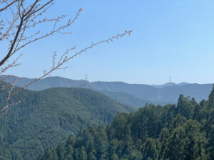 Hiking Nara's Mount Yoshino for the Best Cherry Blossoms in Japan ...