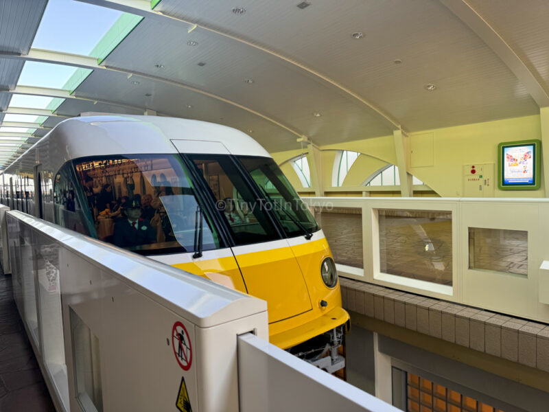 Tokyo Disney Tips: Guide for What to Know Before You Go