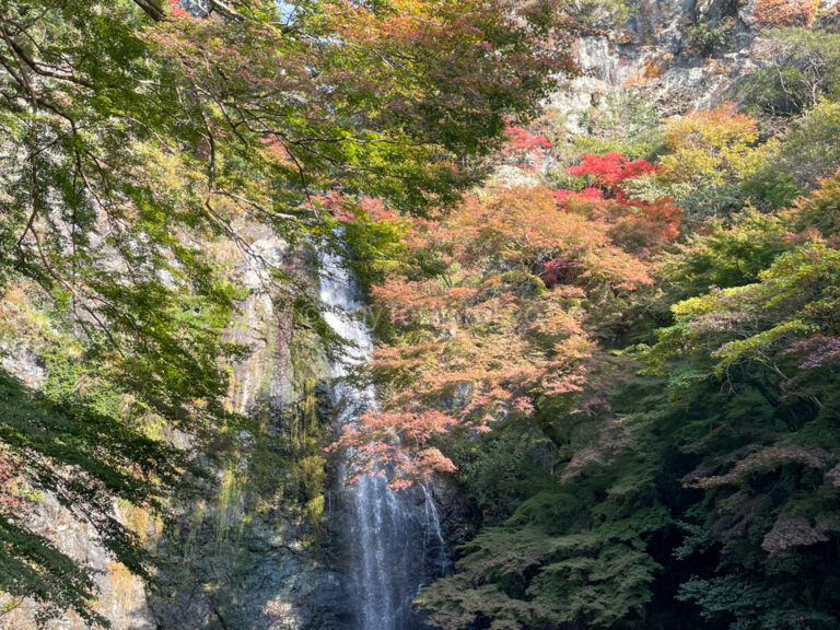 Minoh Park and Falls: Easy Hike in Osaka + Kid-Friendly