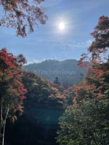 Minoh Park and Falls: Easy Hike in Osaka + Kid-Friendly