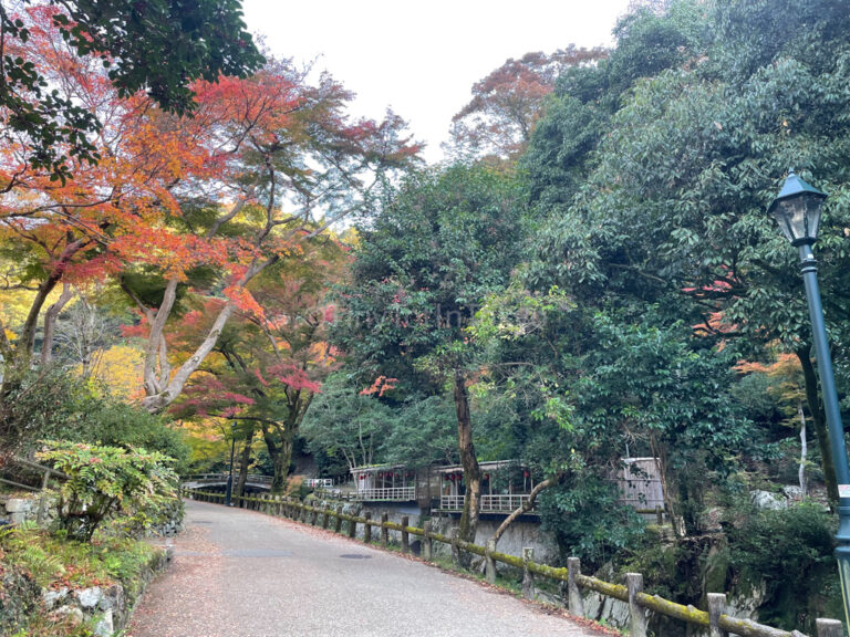 Minoh Park and Falls: Easy Hike in Osaka + Kid-Friendly