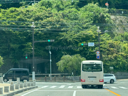 Driving in Japan: 20 Essential Tips from a Local