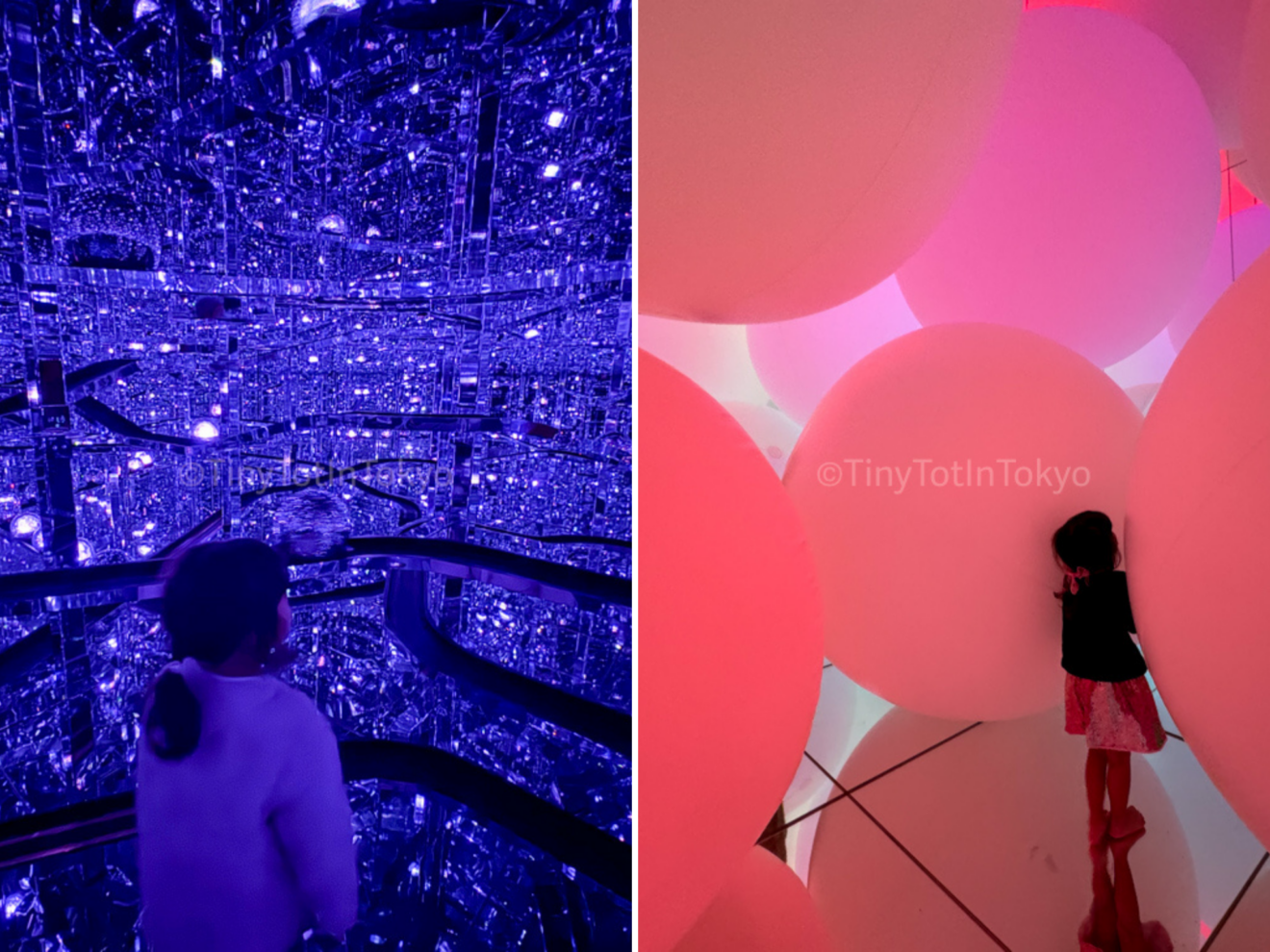 teamLab Borderless vs Planets Review — Which is Better? - Tiny Tot In Tokyo