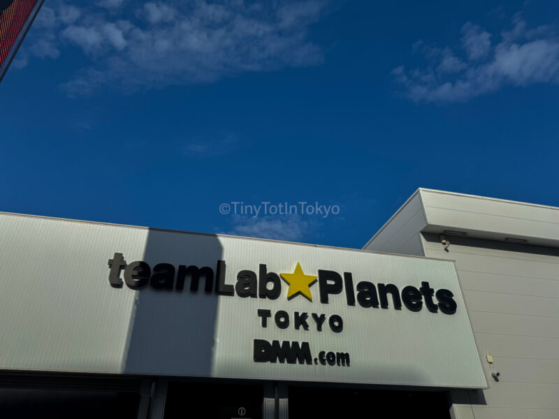 teamLab Borderless vs Planets Review — Which is Better? - Tiny Tot In Tokyo