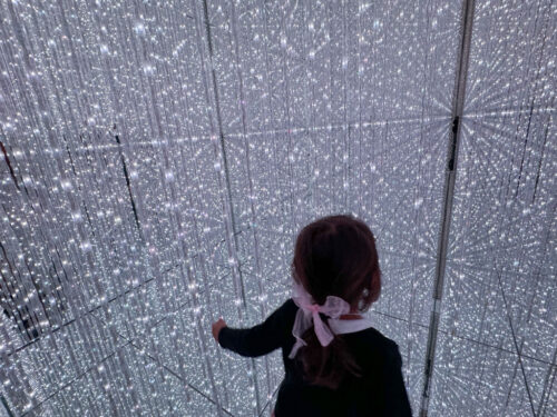 teamLab Planets TOKYO with Kids — Review and Tips - Tiny Tot In Tokyo