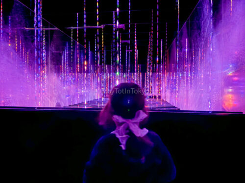 teamLab Planets TOKYO with Kids — Review and Tips - Tiny Tot In Tokyo