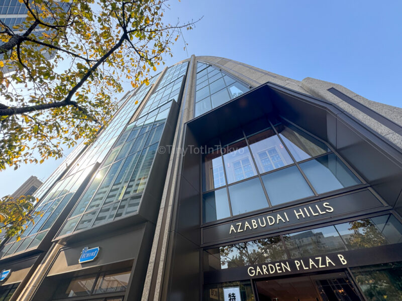 teamLab Borderless with Kids Review: Is It Worth It?