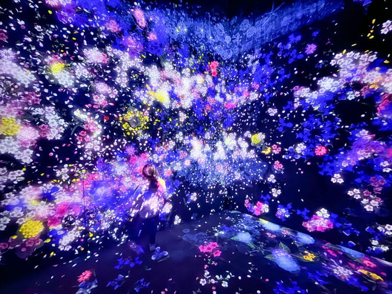 teamLab Borderless with Kids Review: Is It Worth It?