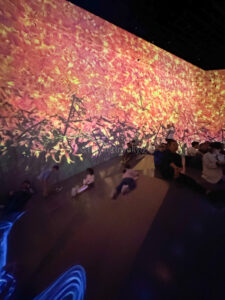 teamLab Borderless with Kids Review: Is It Worth It?