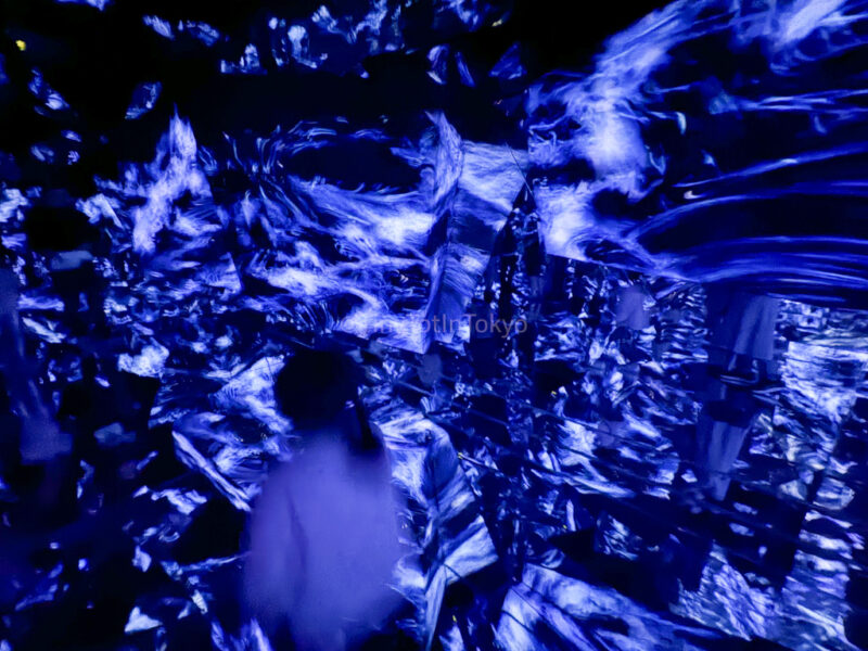 teamLab Borderless with Kids Review: Is It Worth It?
