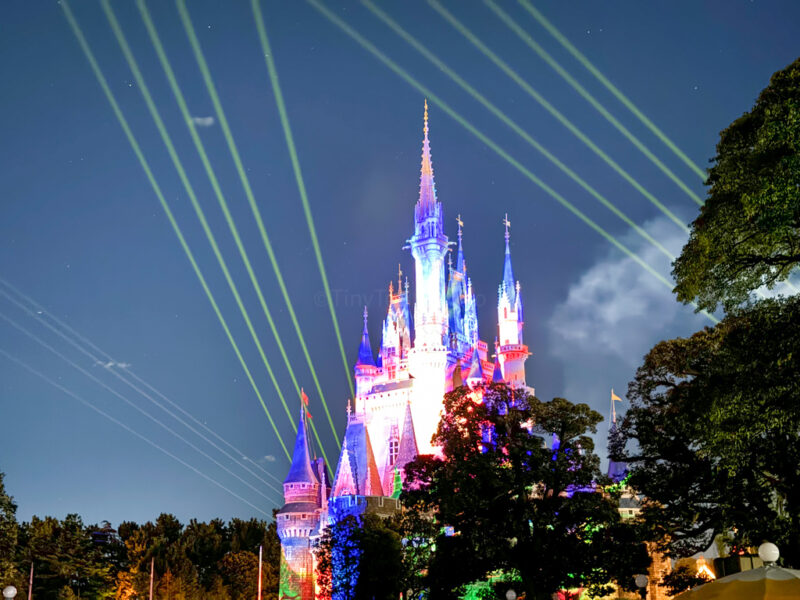 Tokyo Disney Tips: Guide for What to Know Before You Go - Tiny Tot In Tokyo