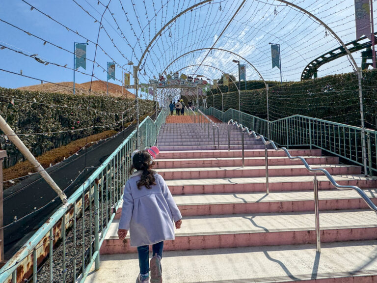 Is Harmonyland Worth It? Honest Review + Tips (2025) - Tiny Tot In Tokyo