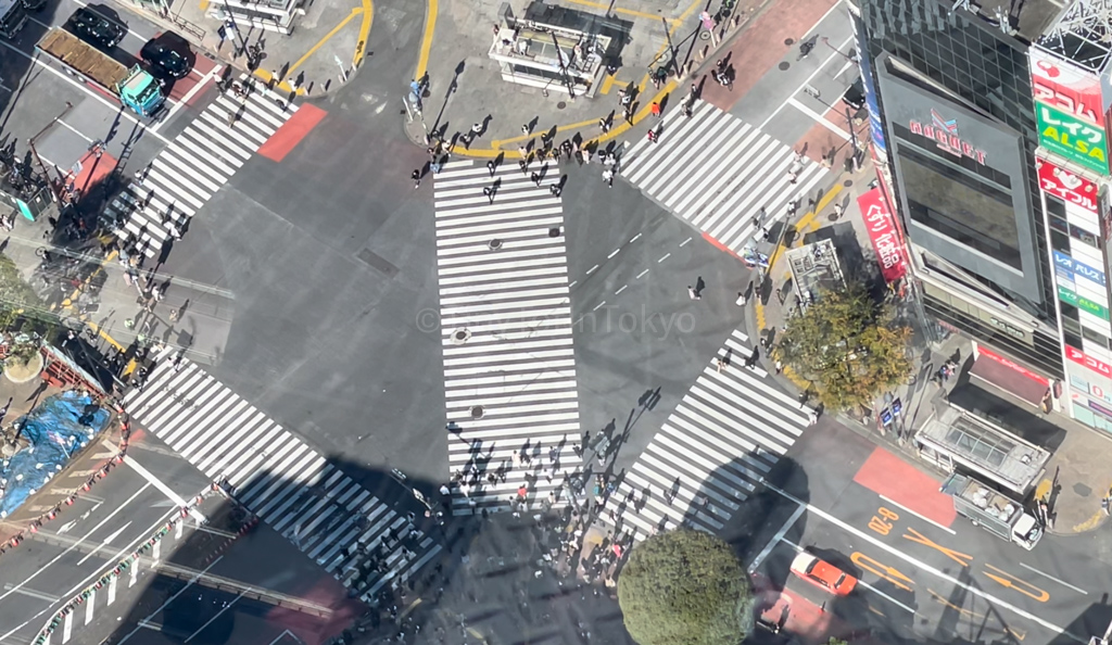 Things to Do in Shibuya That Are Actually Worth Your Time - Tiny Tot In ...